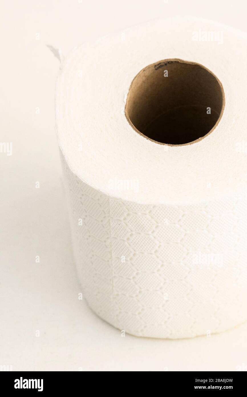 Toilet roll still life, minimal Stock Photo - Alamy