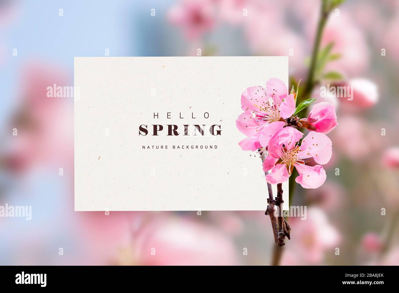 Spring title atmosphere background Stock Photo - Alamy