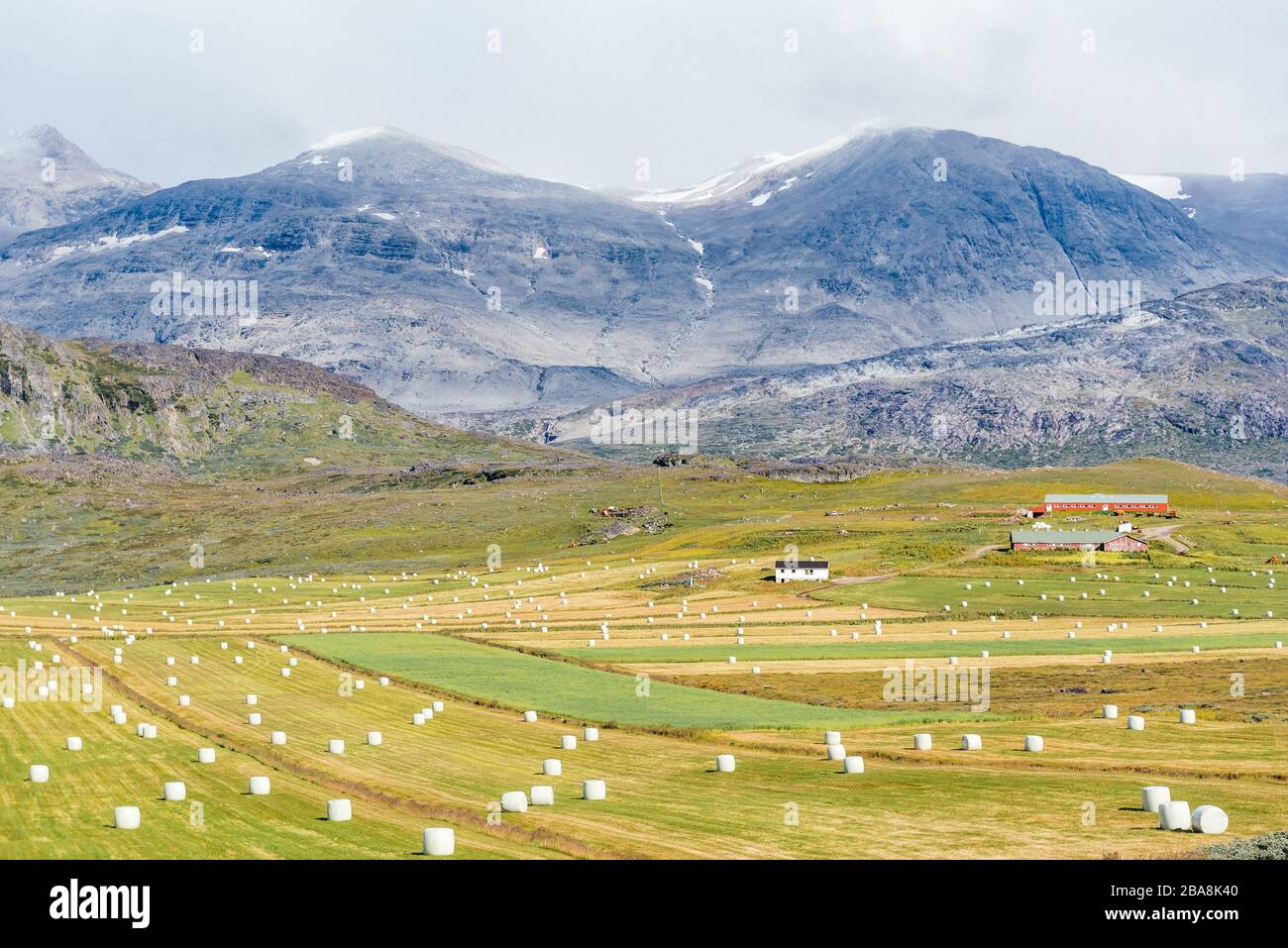 Inuit greenland portrait water hi-res stock photography and images - Alamy