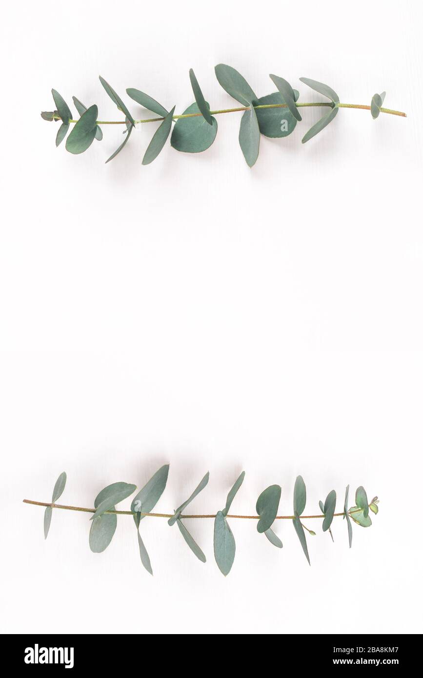 Green frame mock up Cut Out Stock Images & Pictures - Alamy