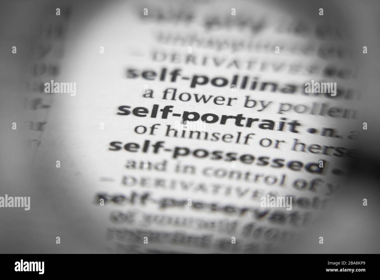Word or phrase self-portrait in a dictionary. Great photo for your ...