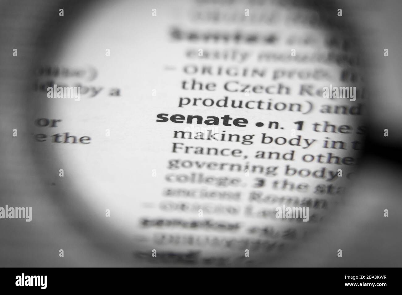 Word or phrase senate in a dictionary. Great photo for your needs Stock ...