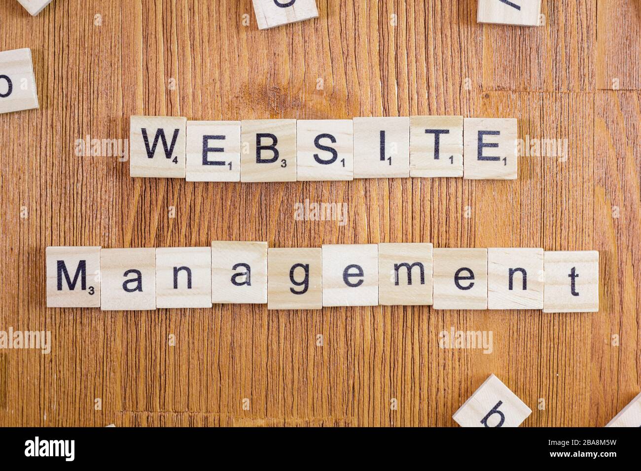 Word or phrase Website Management made with scrabble letters, great ...