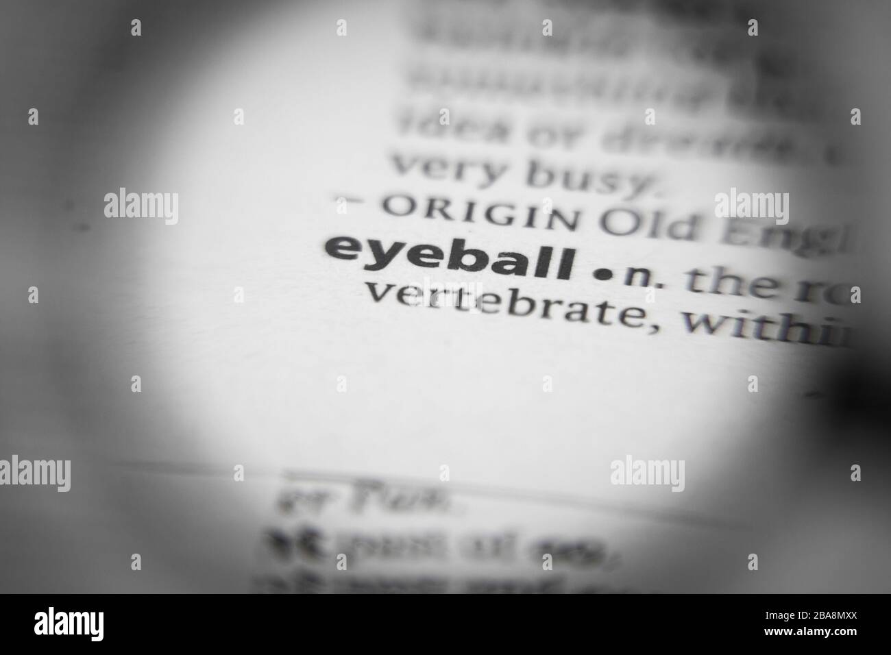 Word or phrase eyeball in a dictionary. Great photo for your needs ...