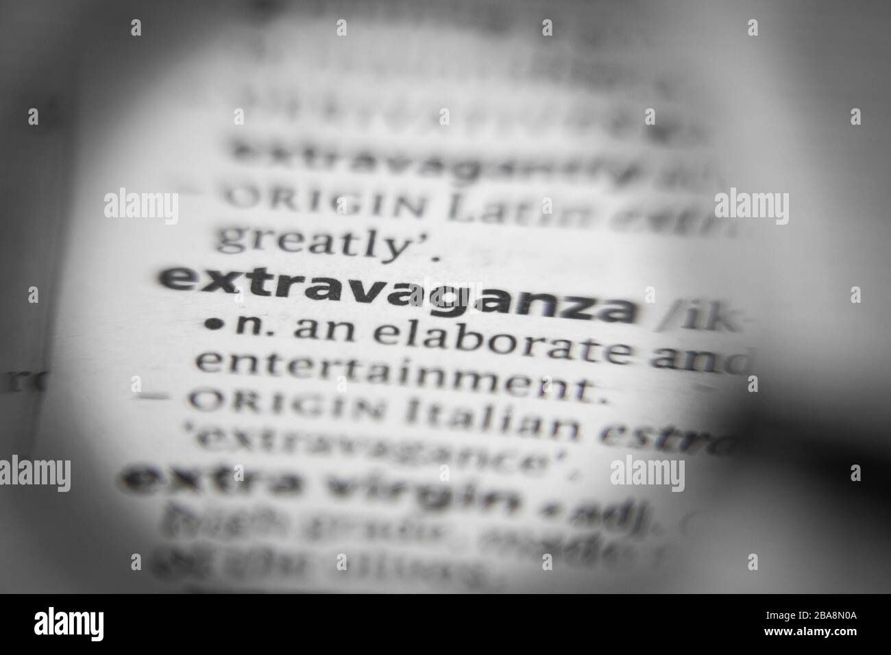 Word or phrase extravaganza in a dictionary. Great photo for your needs ...