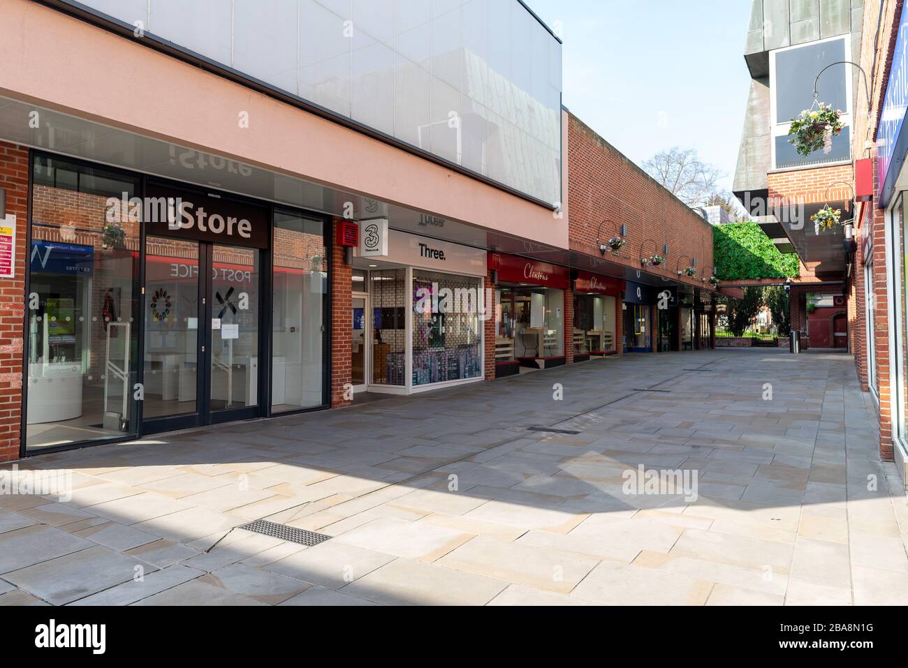 Lion walk colchester uk hi-res stock photography and images - Alamy
