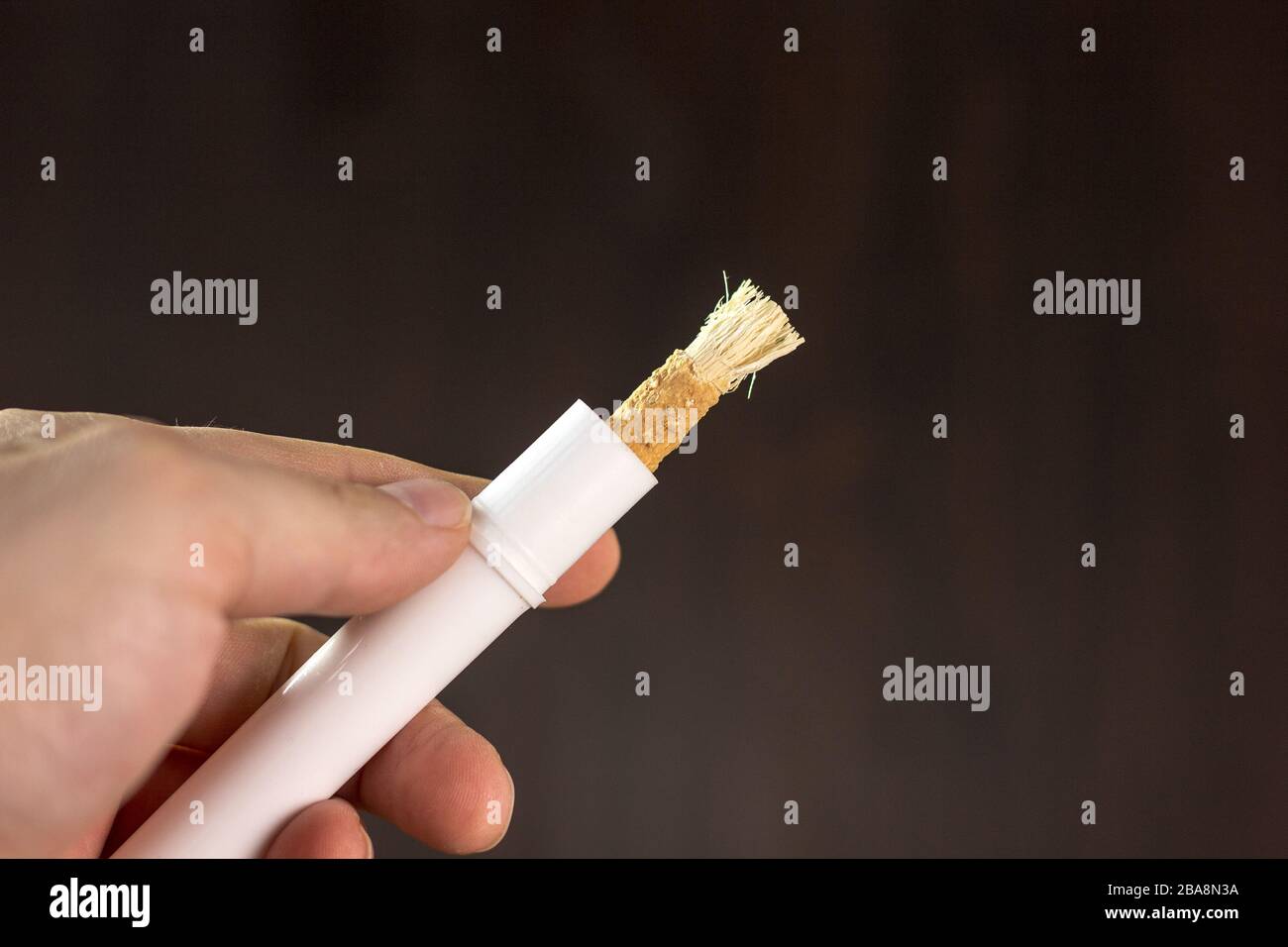 Hand holding miswak or siwak sticks over the black. Great photo for ...