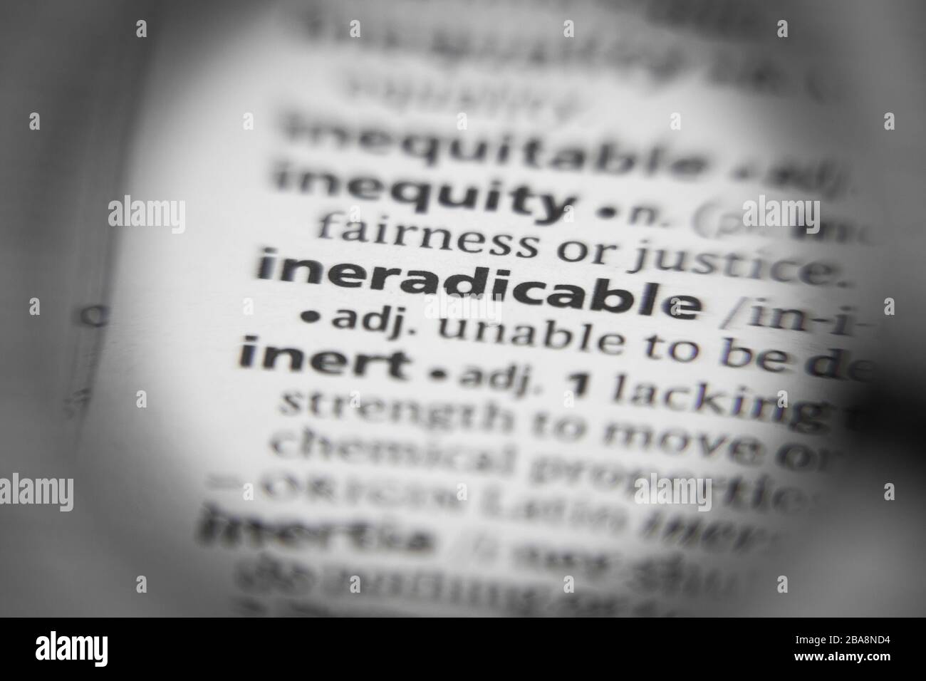 Word or phrase ineradicable in a dictionary. Great photo for your needs ...