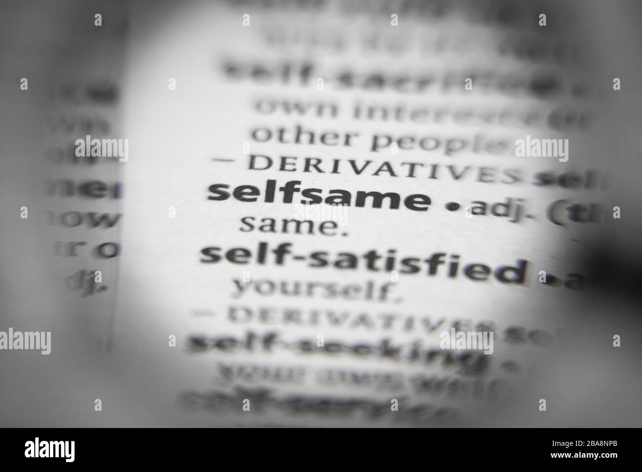 Word or phrase selfsame in a dictionary. Great photo for your needs ...