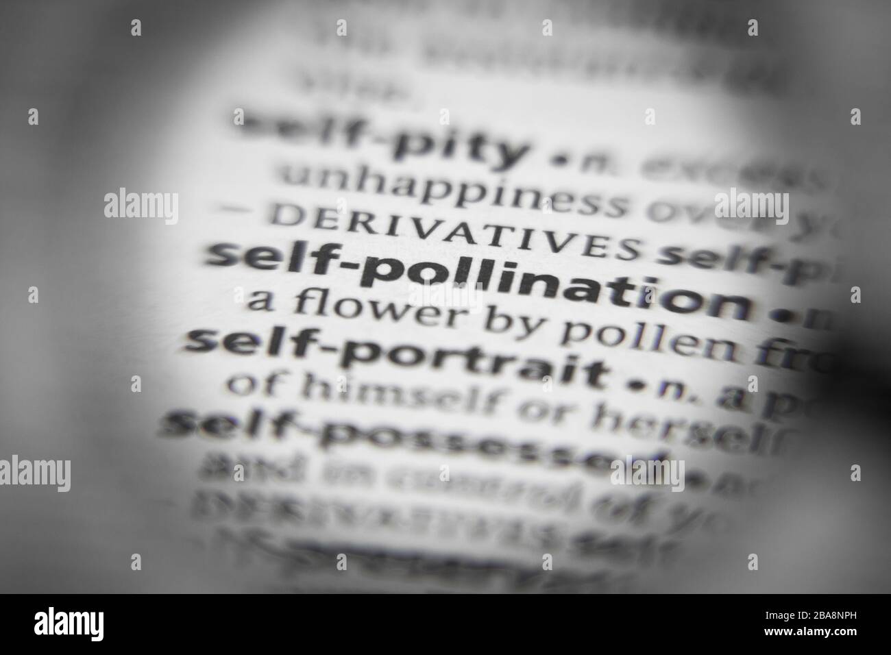 Word or phrase self-pollination in a dictionary. Great photo for your ...