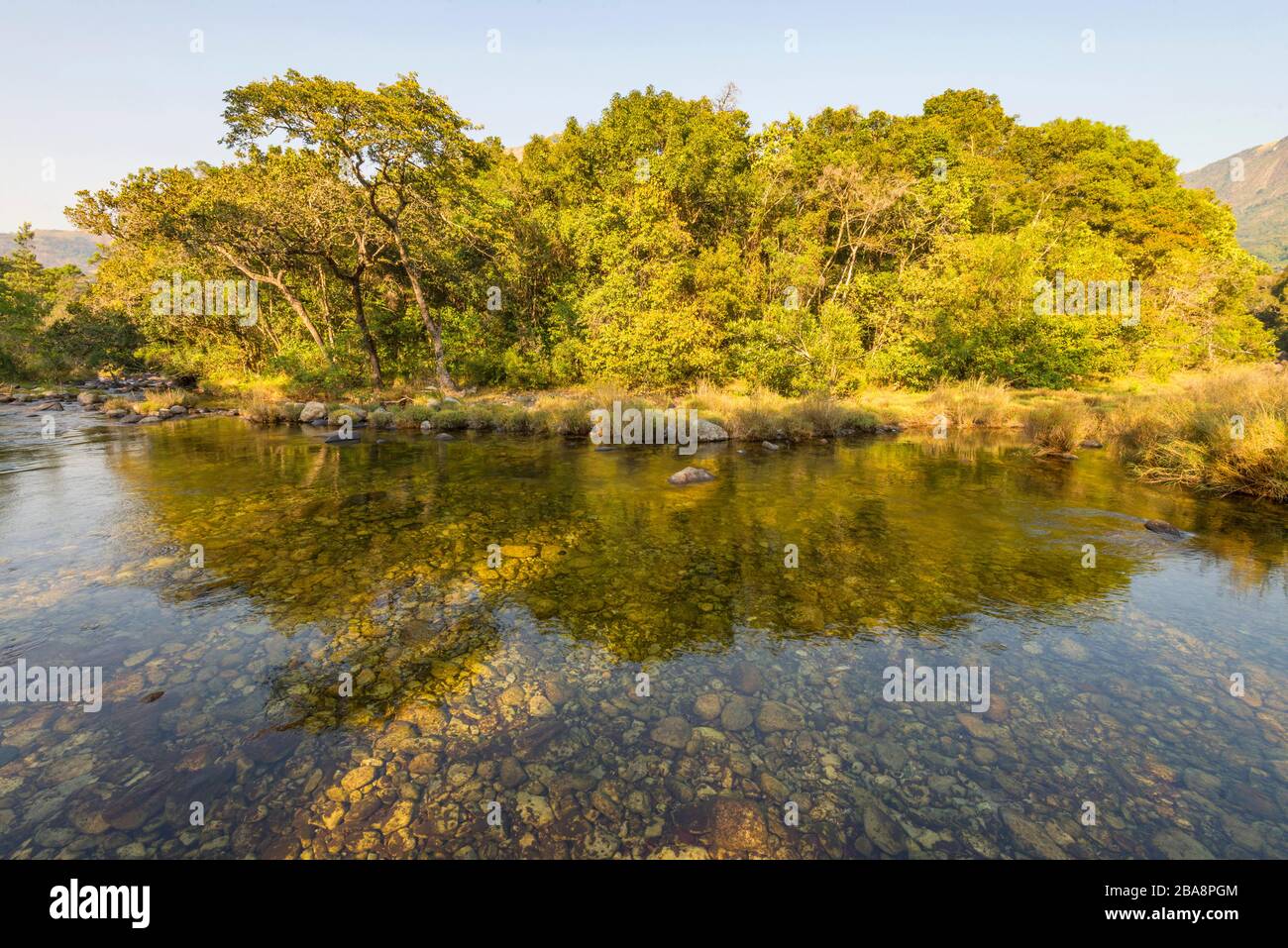 The Pungwe river seen in Zimbabwe's Nyanga National Park Stock Photo ...