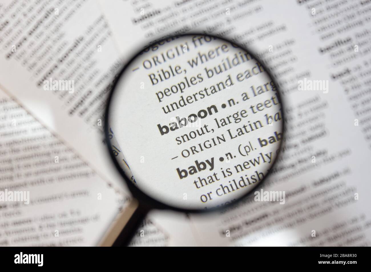 The word of phrase baboon in a dictionary Stock Photo - Alamy
