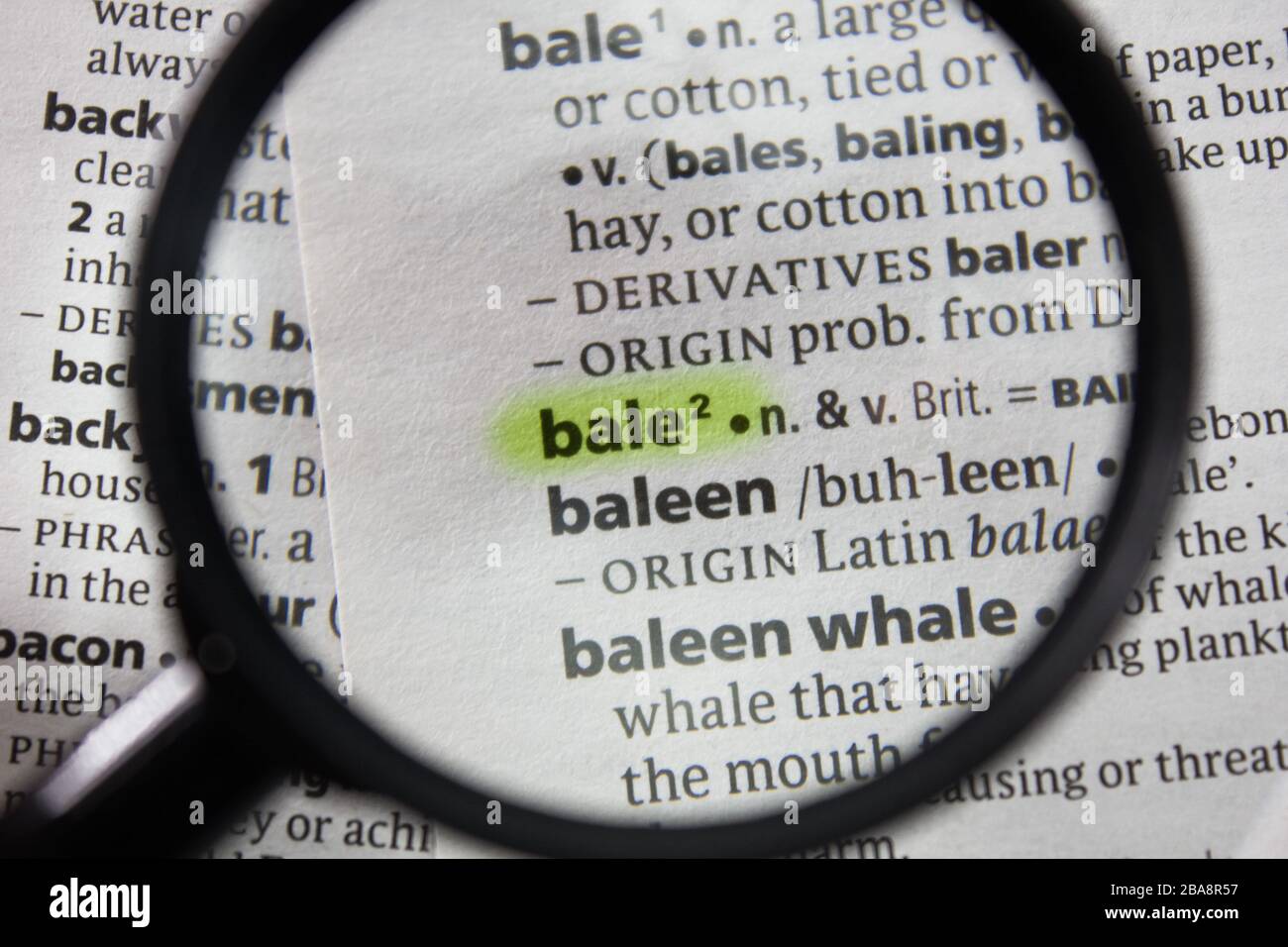 The word or phrase bale in a dictionary Stock Photo - Alamy