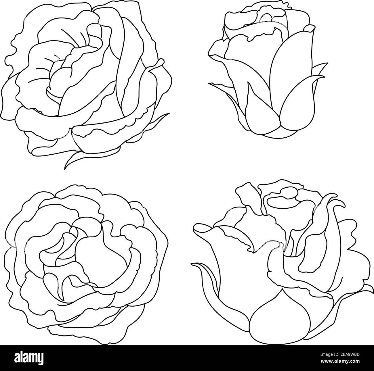 Set one rose flower Black and White Stock Photos & Images - Alamy
