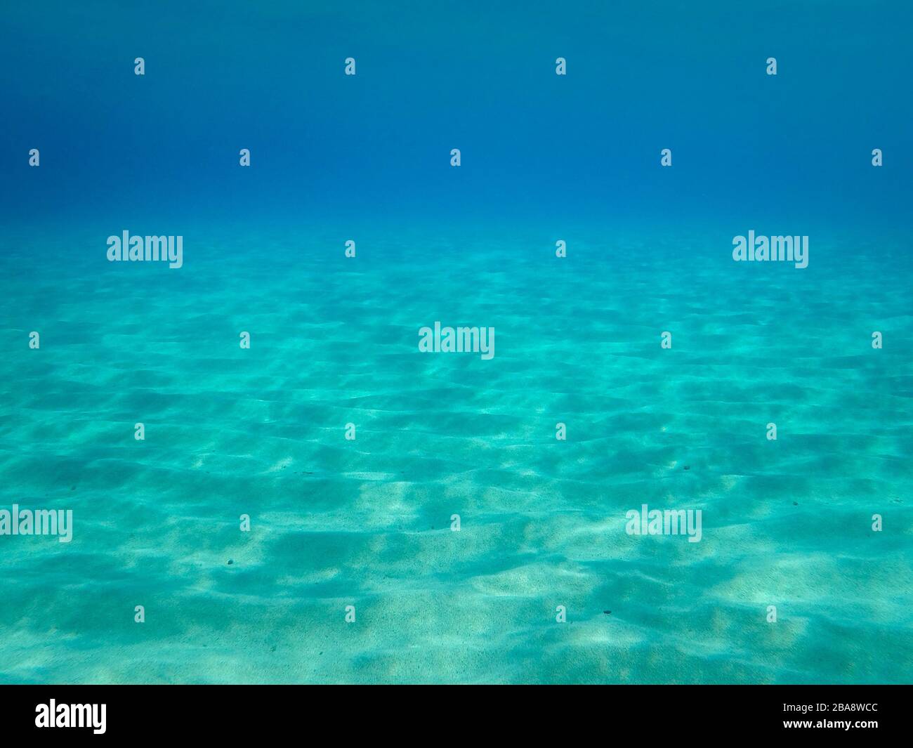 Sandy underwater sand on a shallow seabed in the Mediterranean sea with ...