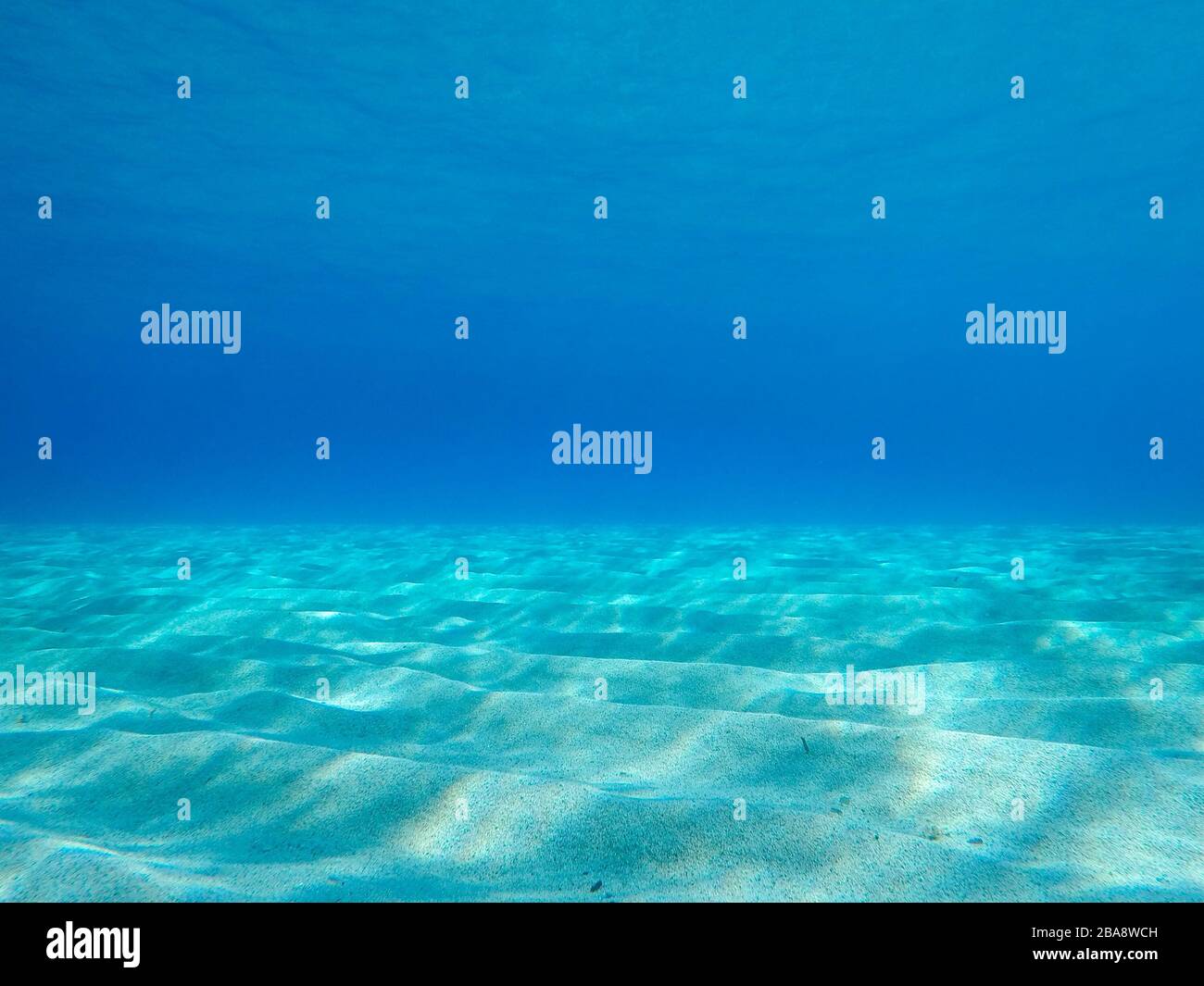 Sandy underwater sand on a shallow seabed in the Mediterranean sea with ...