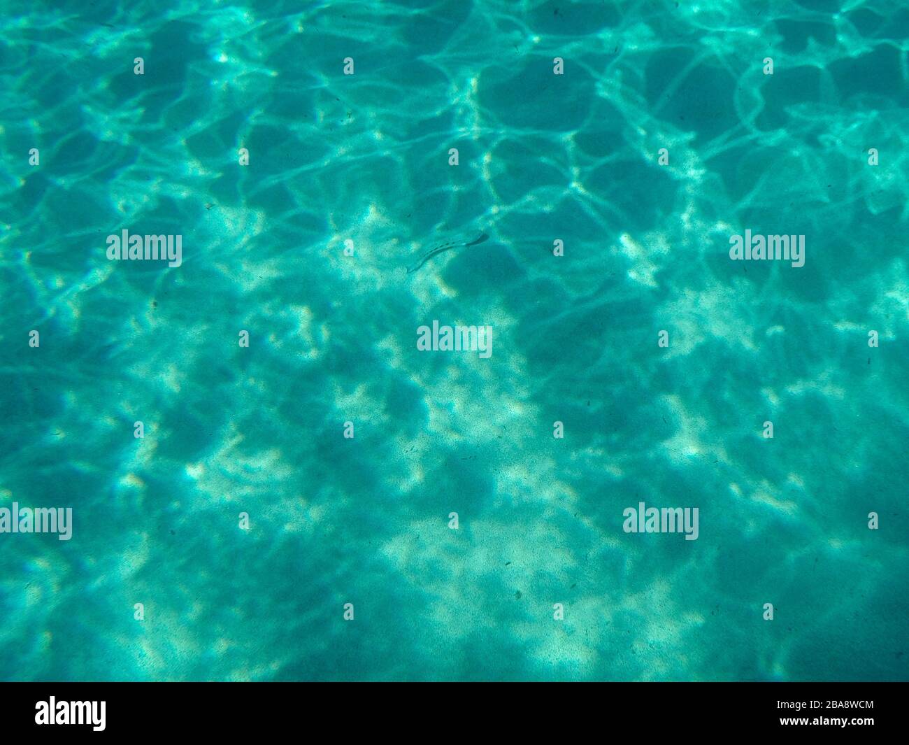 Underwater shallow sandy ocean floor hi-res stock photography and ...