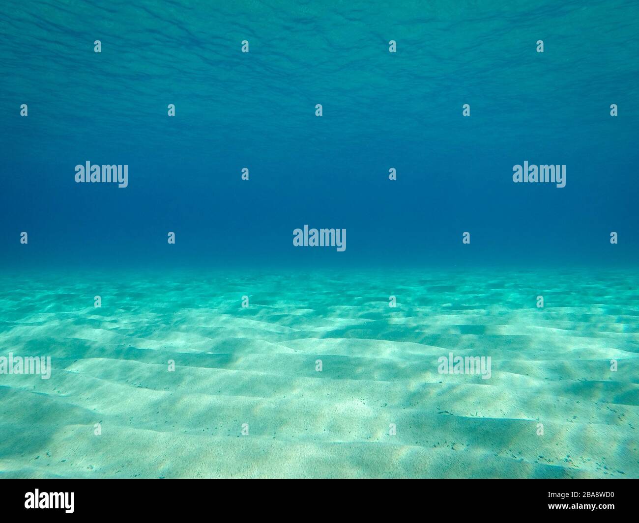 Sandy underwater sand on a shallow seabed in the Mediterranean sea with ...