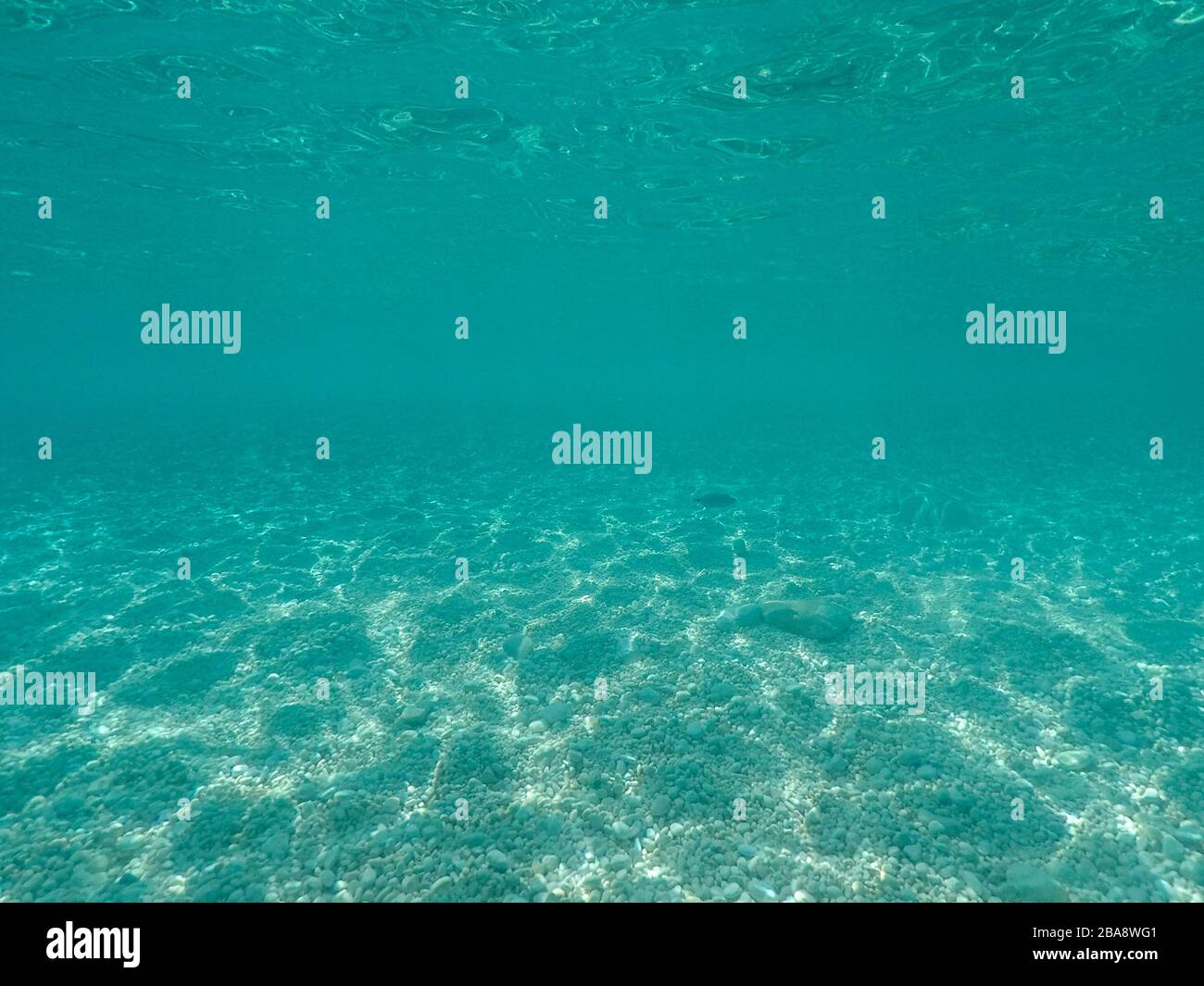 Stony sea floor with stones in the Mediterranean sea with bubbles of ...