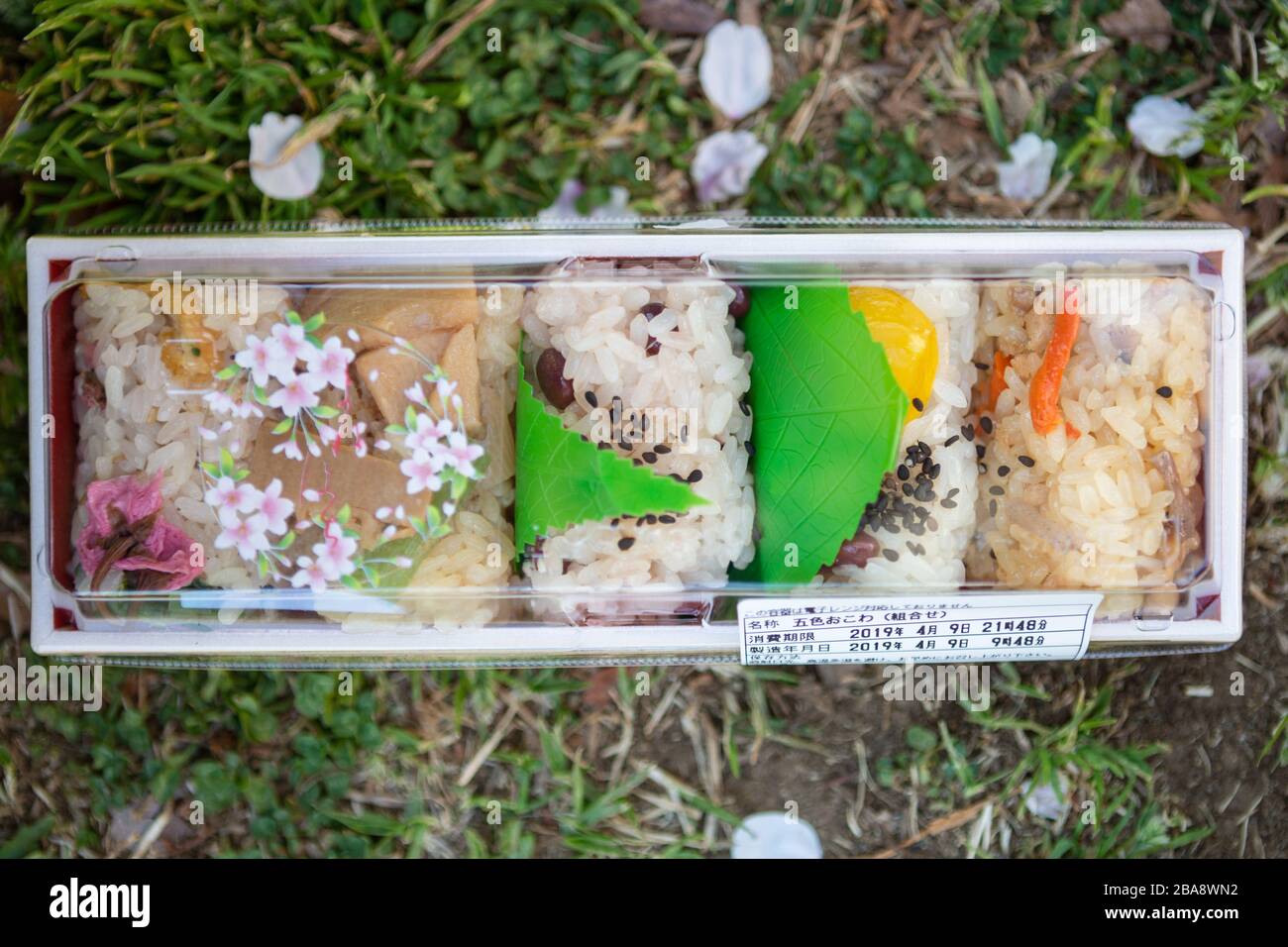 Sushi rice snack box in Tokyo, Japan, with a few cherry blossom petals ...