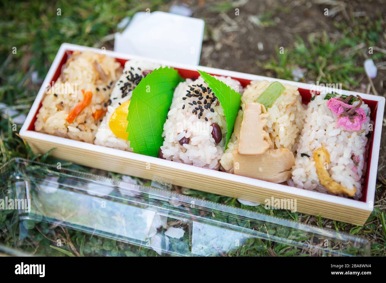 Sushi rice snack box in Tokyo, Japan, with a few cherry blossom petals ...