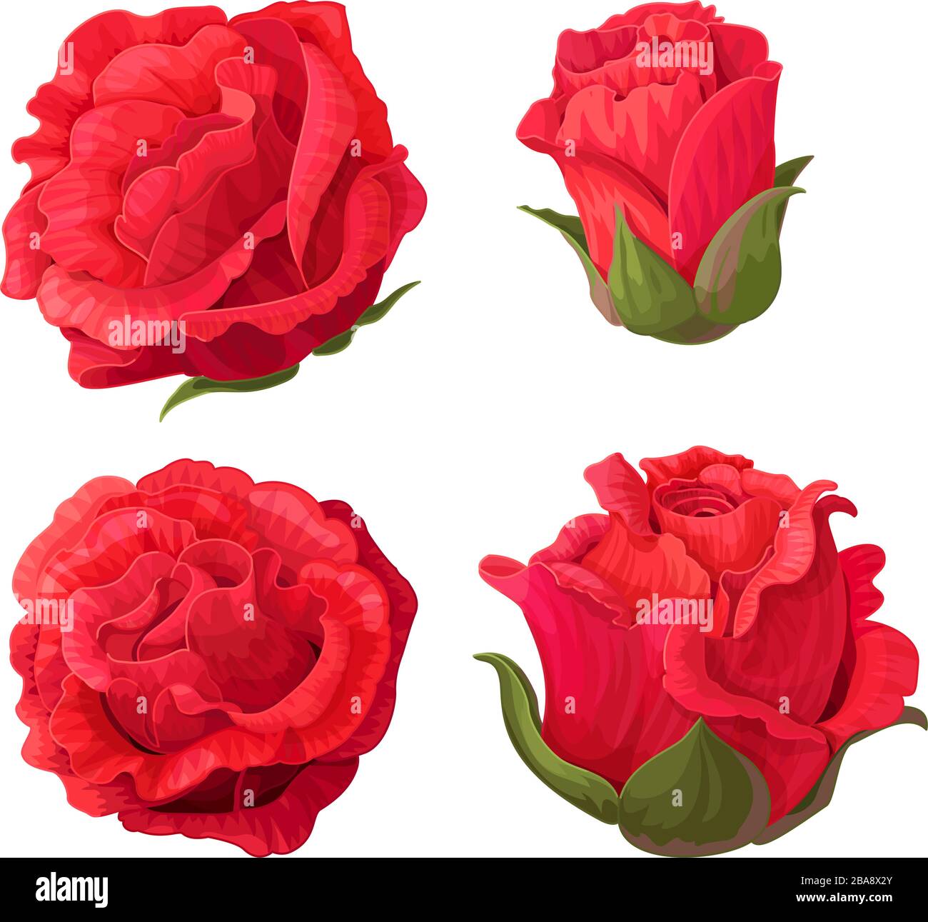 vector rose flower clip art on white isolated background Stock Vector ...