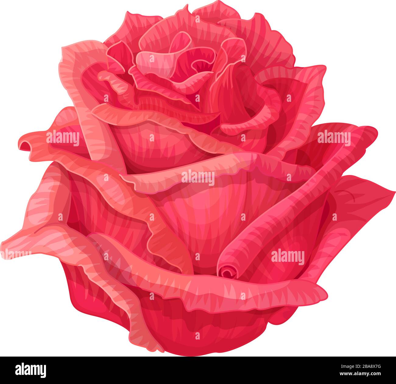 vector rose flower clip art on white isolated background Stock Vector ...