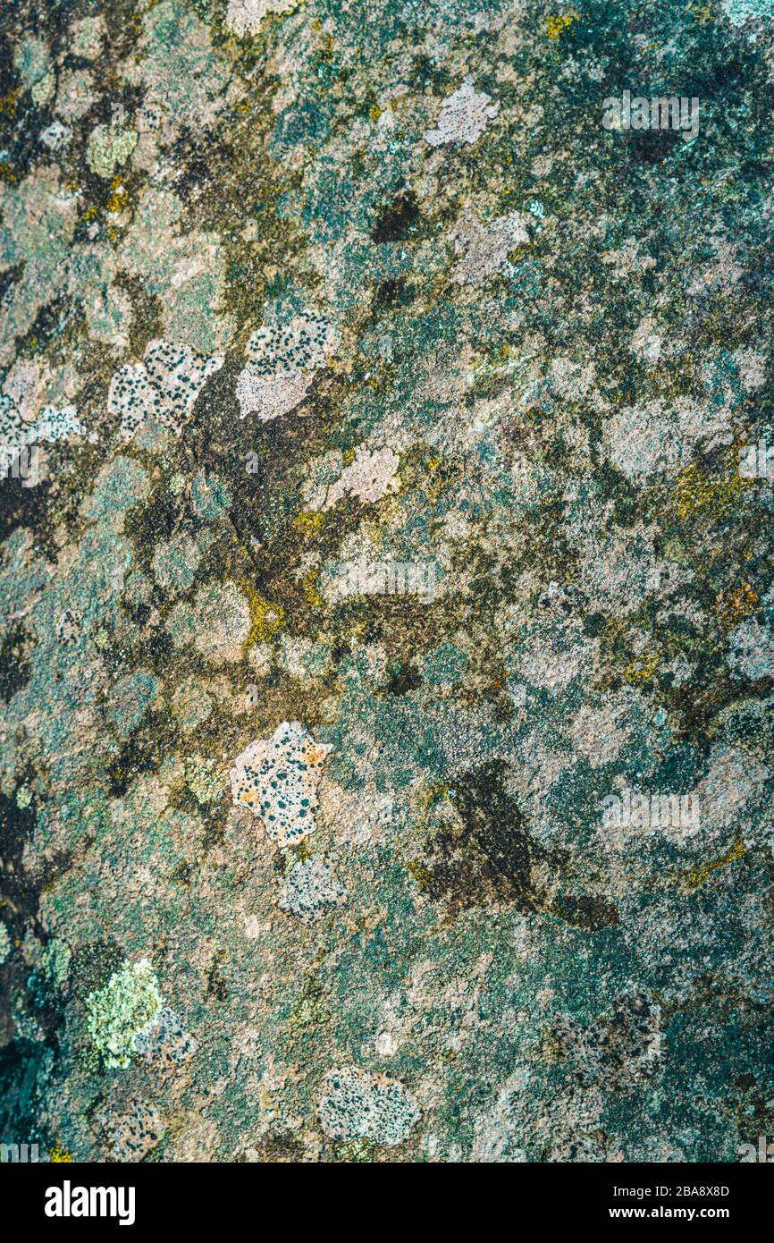 Structured surface hi-res stock photography and images - Alamy