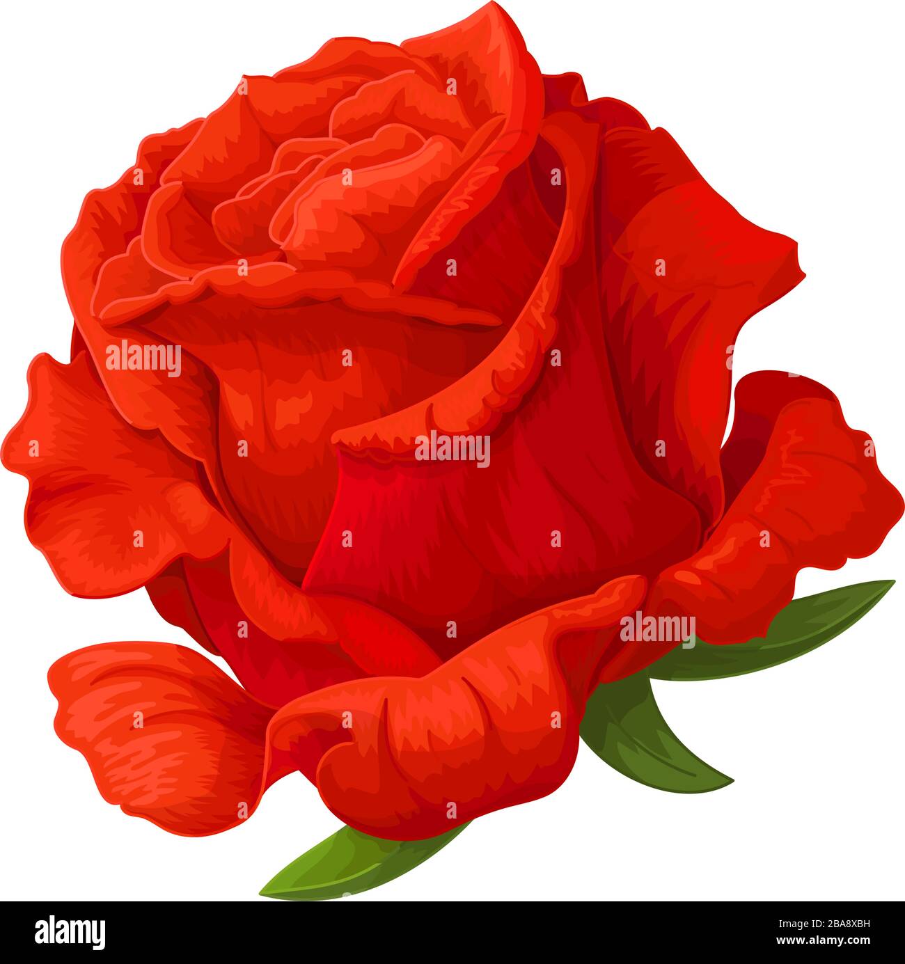 vector rose flower clip art on white isolated background Stock Vector ...