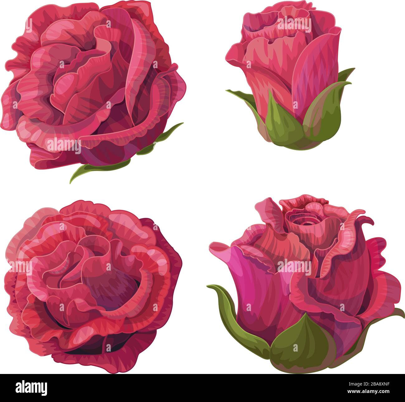 vector rose flower clip art on white isolated background Stock Vector ...