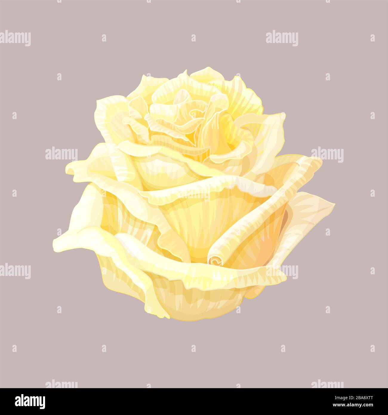 vector rose flower clip art on white isolated background Stock Vector ...