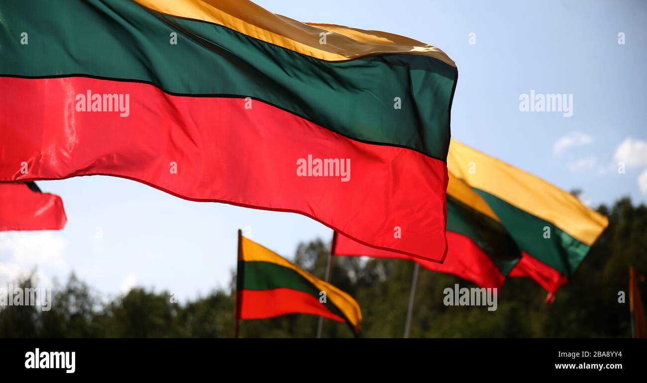 Flag of Lithuania, flying in lawn, tricolor flag Stock Photo - Alamy