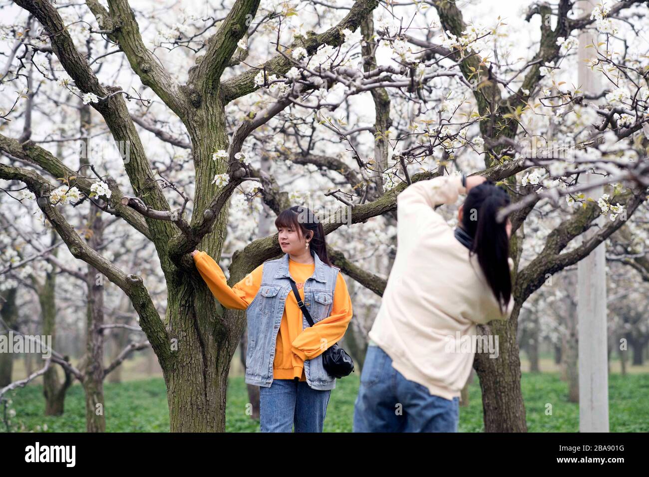 Shangqiu, China's Henan Province. 26th Mar, 2020. Tourists take photos ...