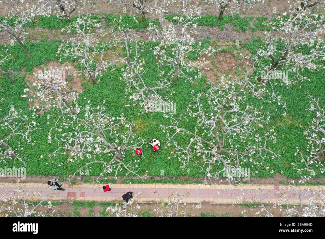 Shangqiu. 26th Mar, 2020. Aerial photo taken on March 26, 2020 shows ...