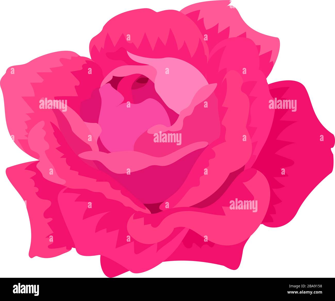 vector rose flower clip art on white isolated background Stock Vector ...