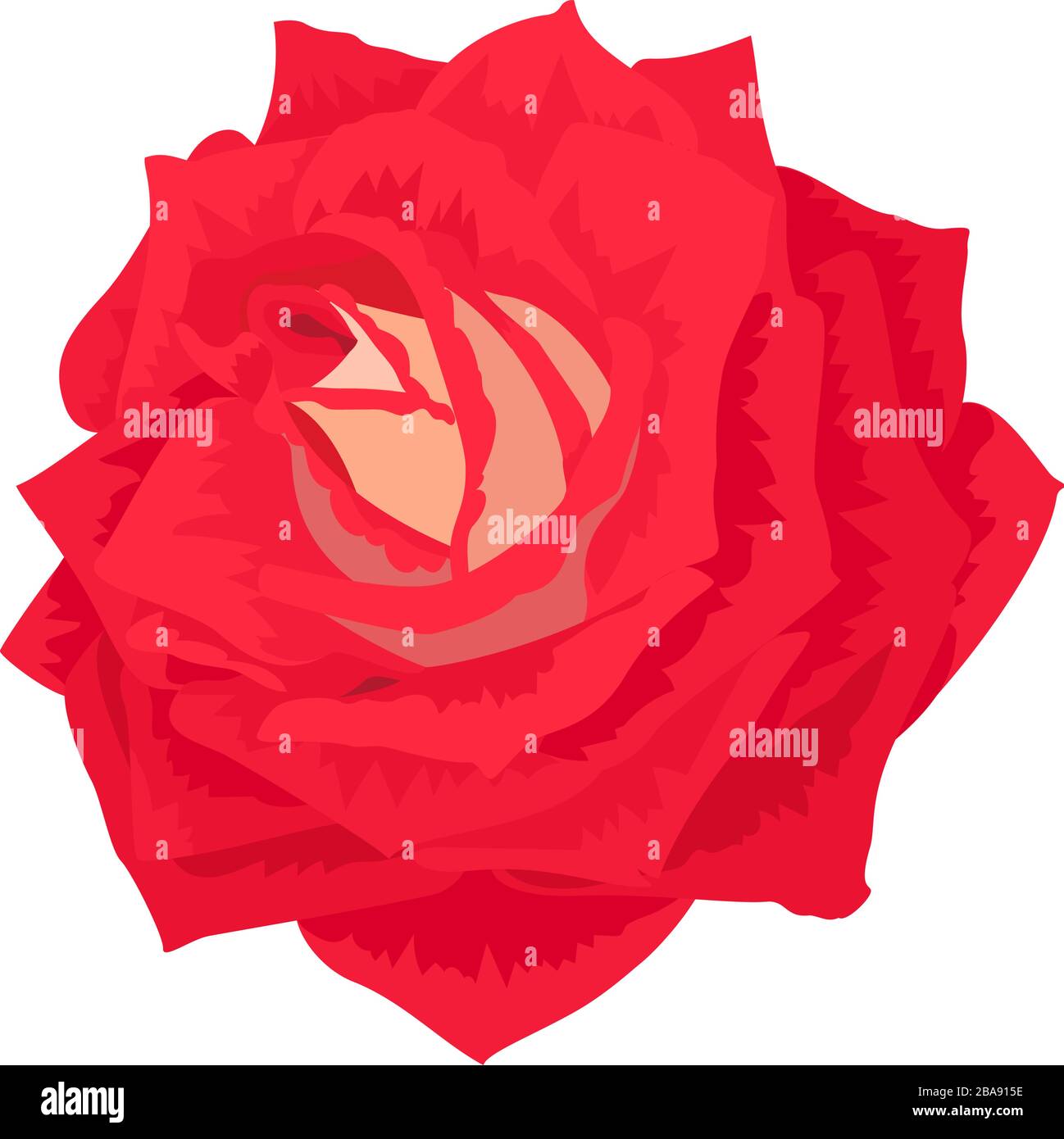vector rose flower clip art on white isolated background Stock Vector ...