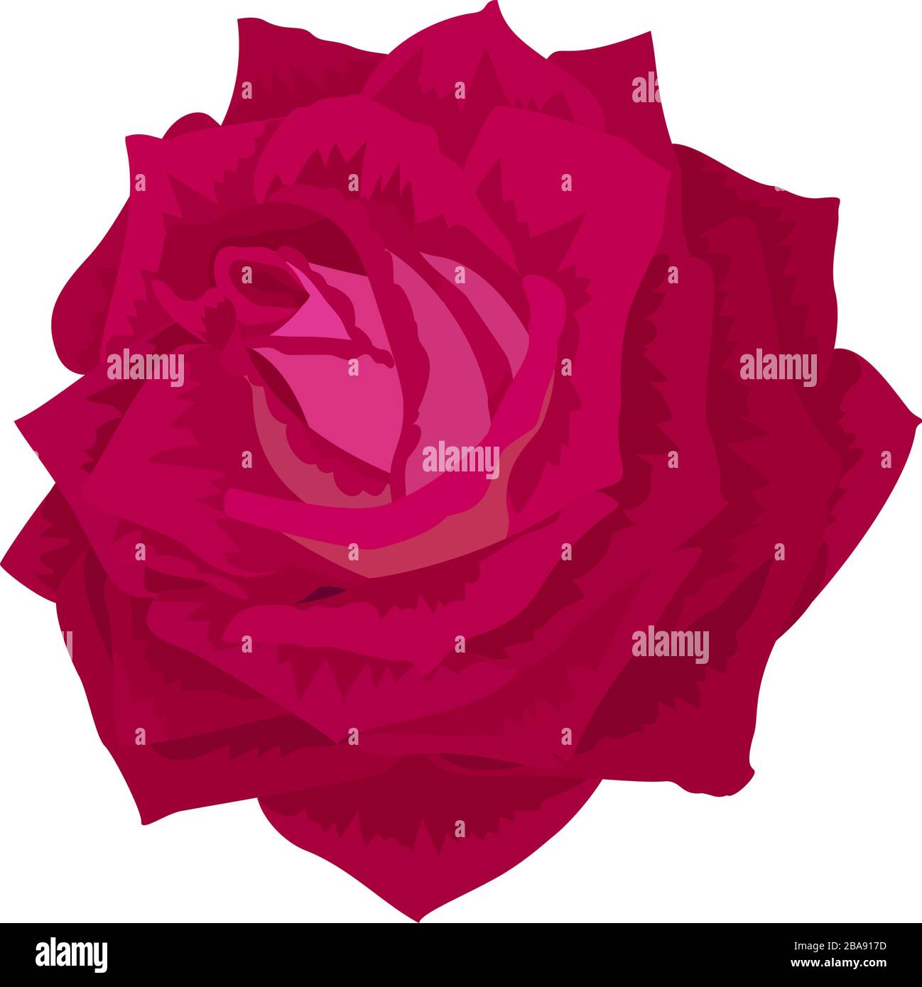 vector rose flower clip art on white isolated background Stock Vector ...