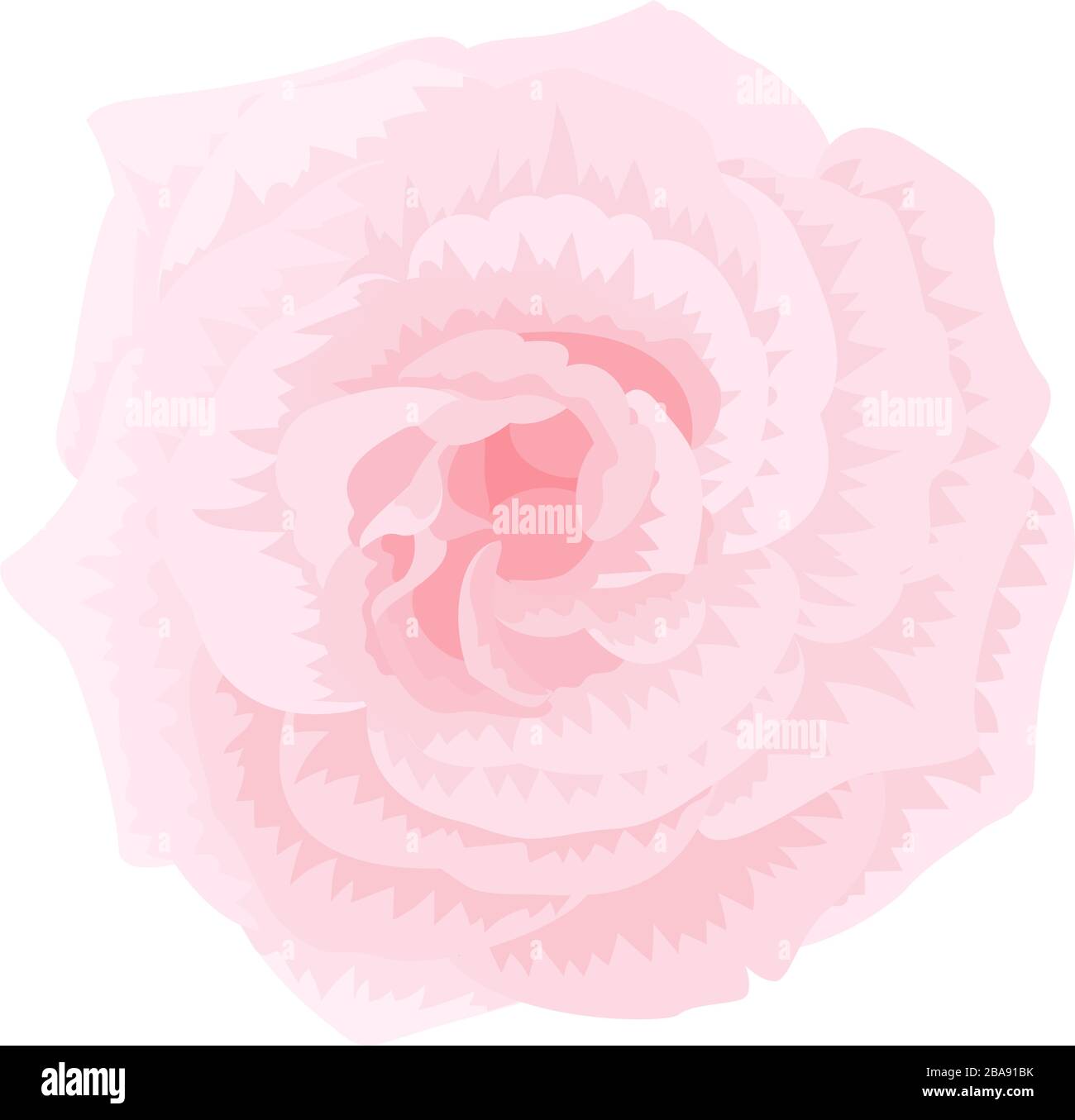 vector rose flower clip art on white isolated background Stock Vector ...