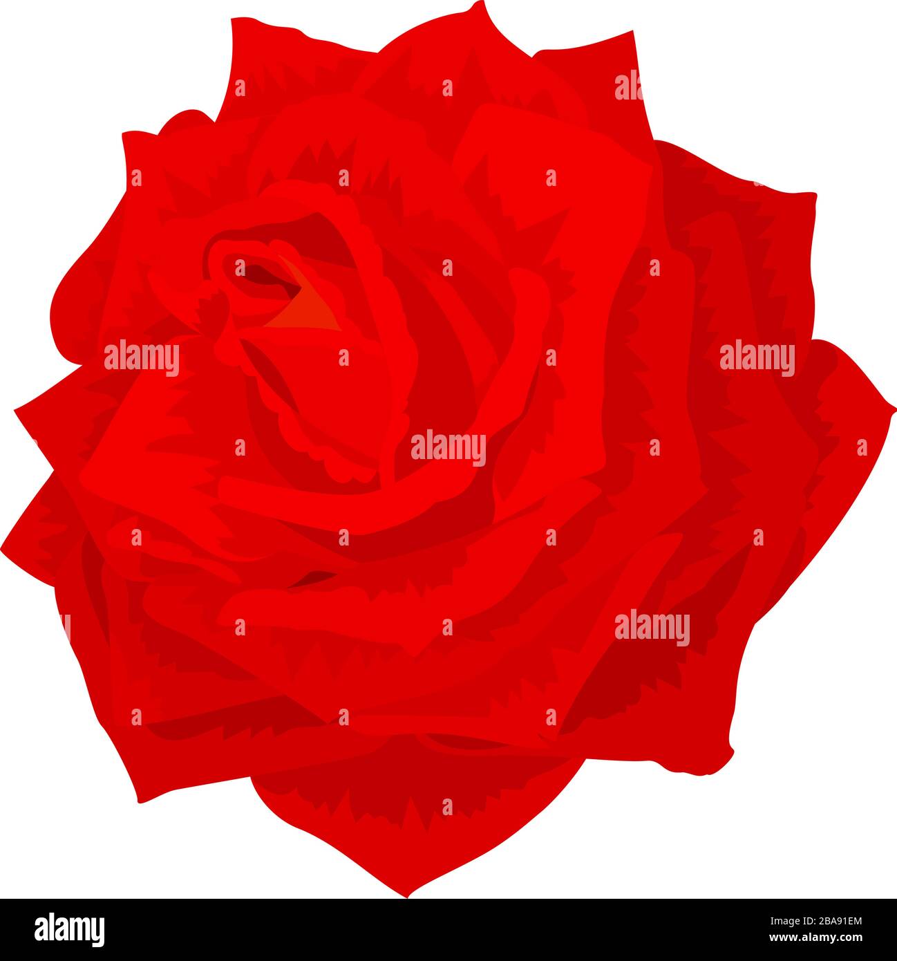vector rose flower clip art on white isolated background Stock Vector ...