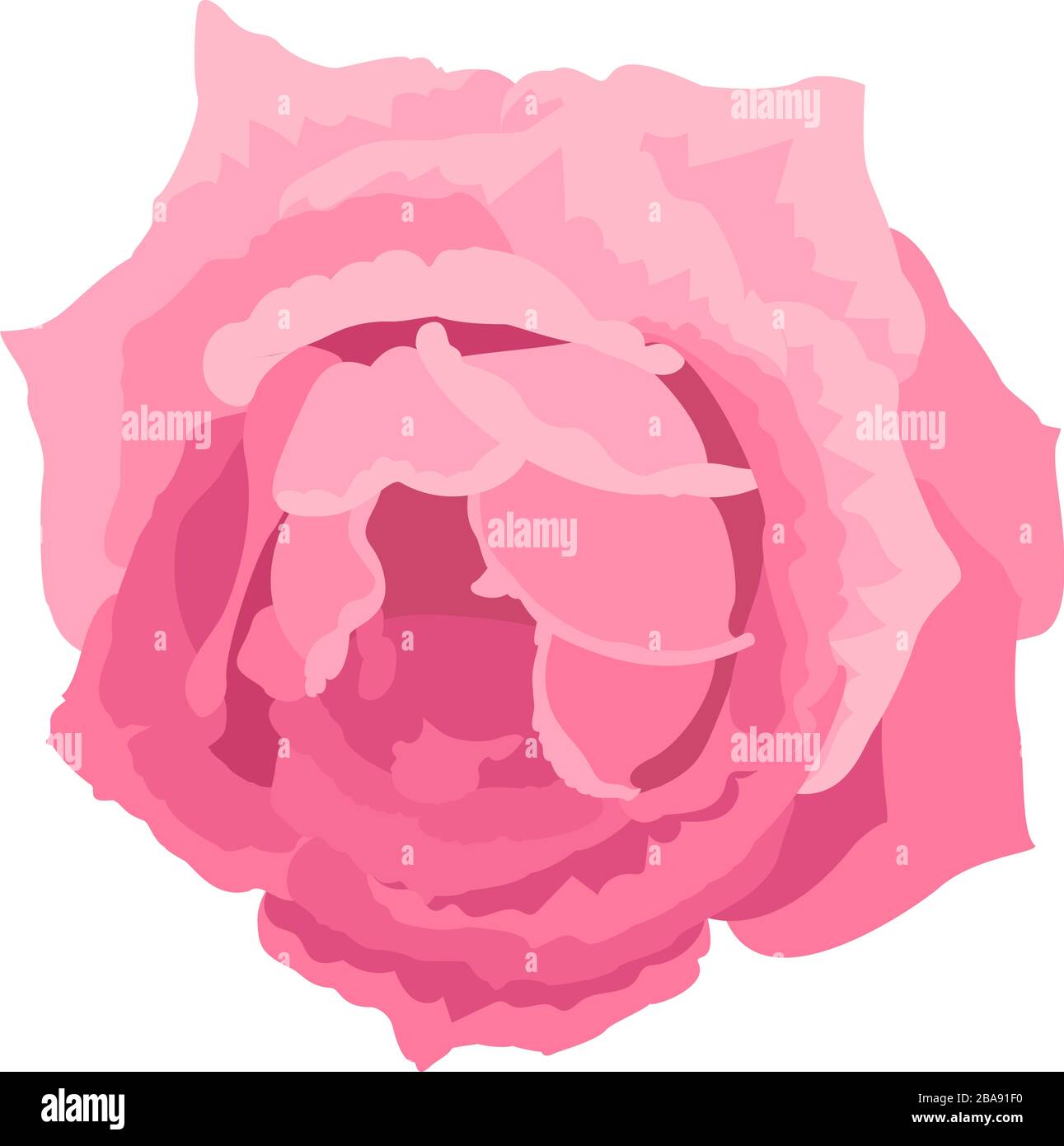 vector rose flower clip art on white isolated background Stock Vector ...