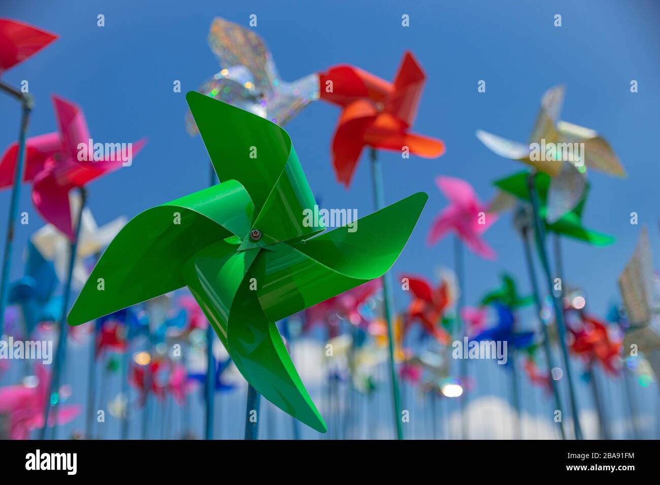 green pinwheel standing with various colors of pinwheel Stock Photo - Alamy
