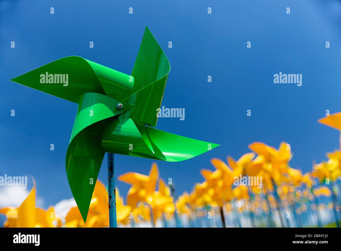 Green pinwheel standing with yellow pinwheel Stock Photo - Alamy