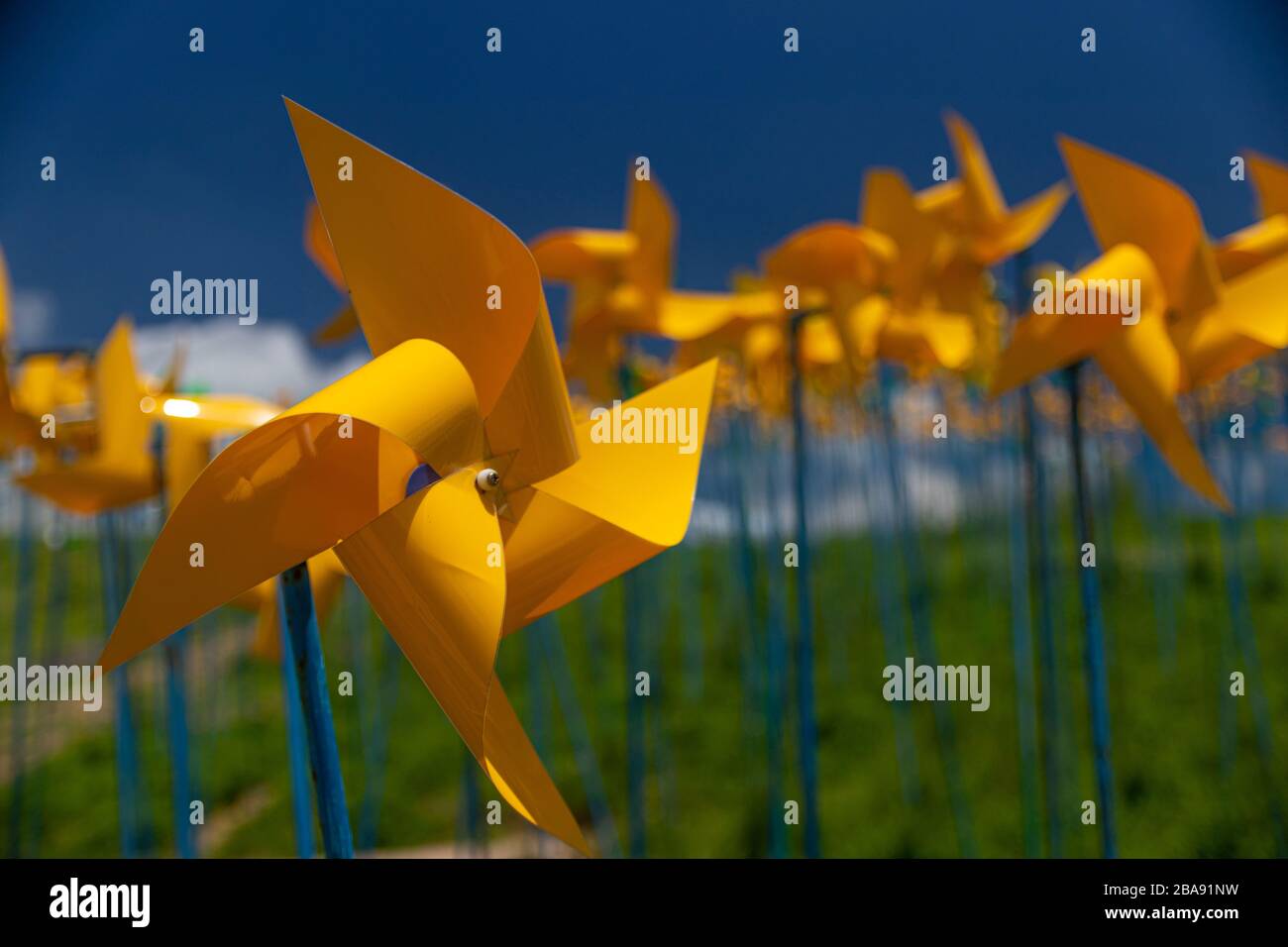 yellow pinwheels that stands against the blue sky Stock Photo - Alamy
