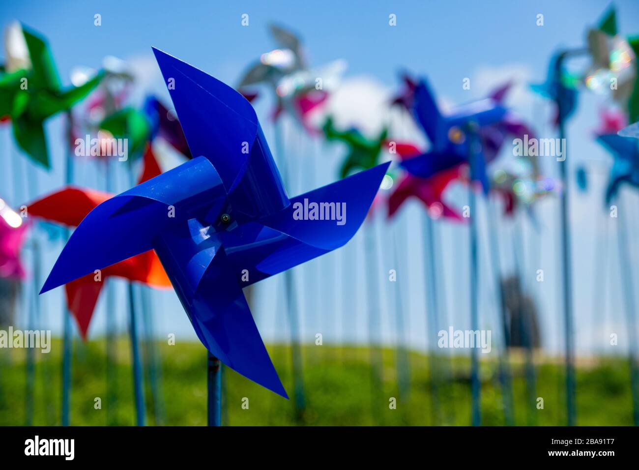 Blue pinwheel standing with colorful pinwheel Stock Photo - Alamy
