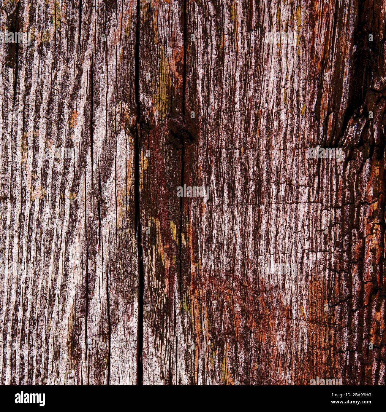 Textured natural wood background made of old wood Stock Photo - Alamy