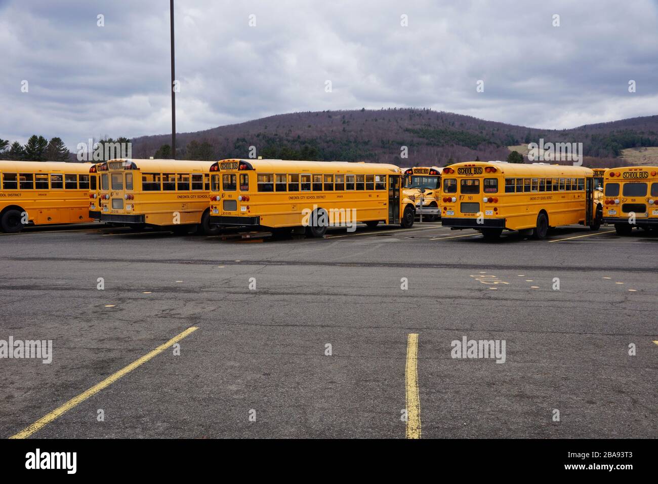 New york schoolbus hi-res stock photography and images - Alamy