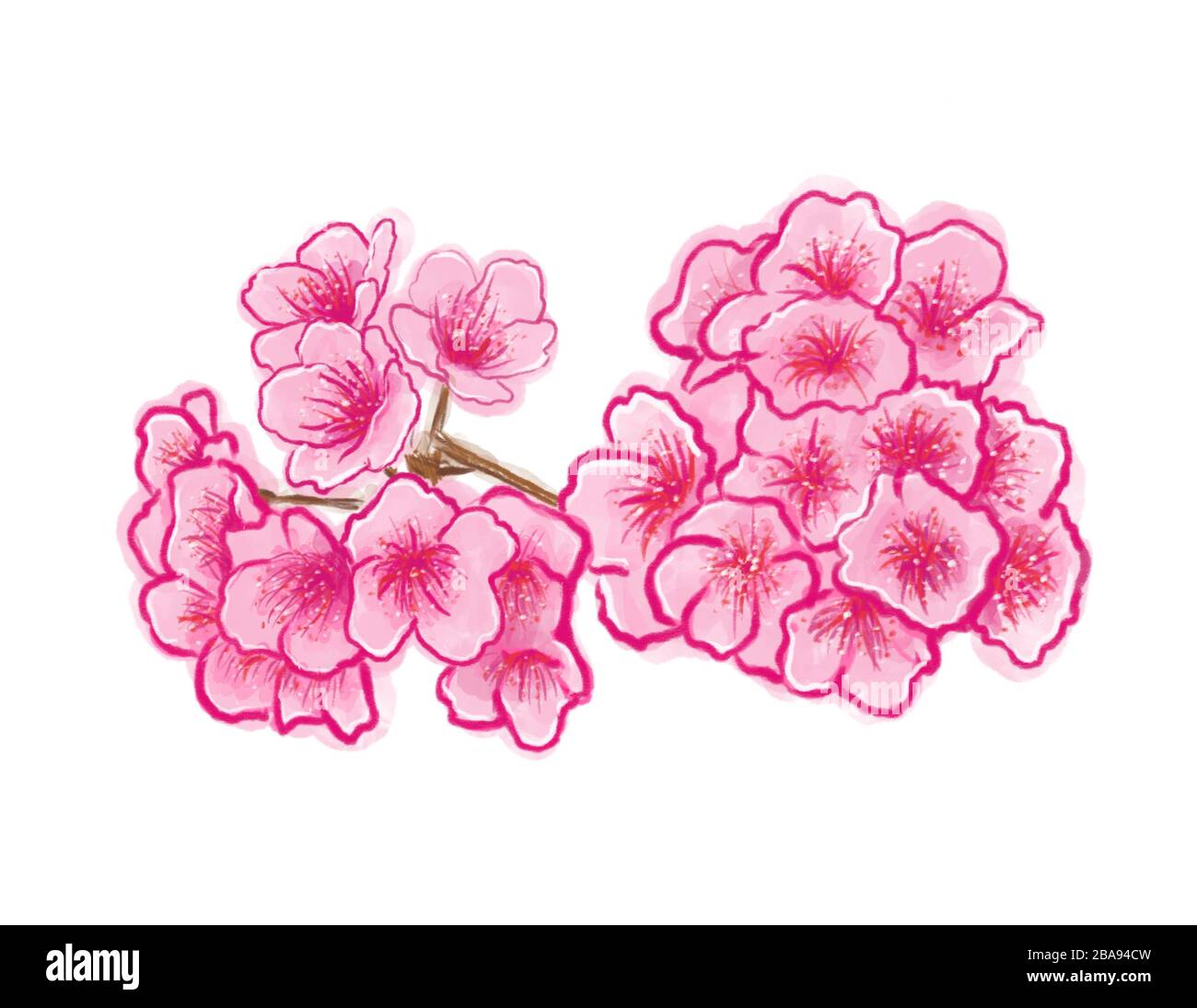 Drawing sakura flowers leaves Cut Out Stock Images & Pictures - Alamy