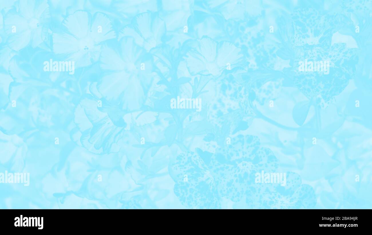 Turquoise aqua aquamarine gradient background, flower pattern. 16:9 ...