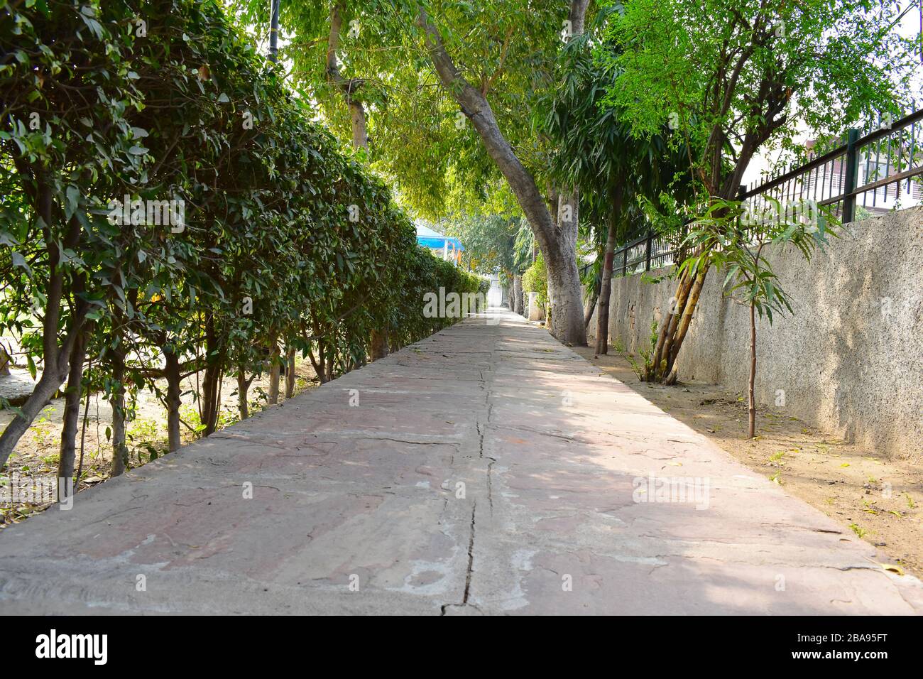 Walkway, Path or Jogging Track in a Green/Park. Close-up Day Shot Stock ...