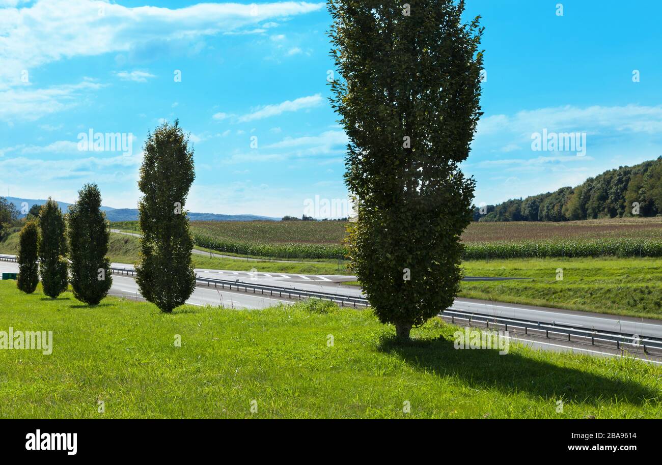 asphalt road through the green field Stock Photo - Alamy